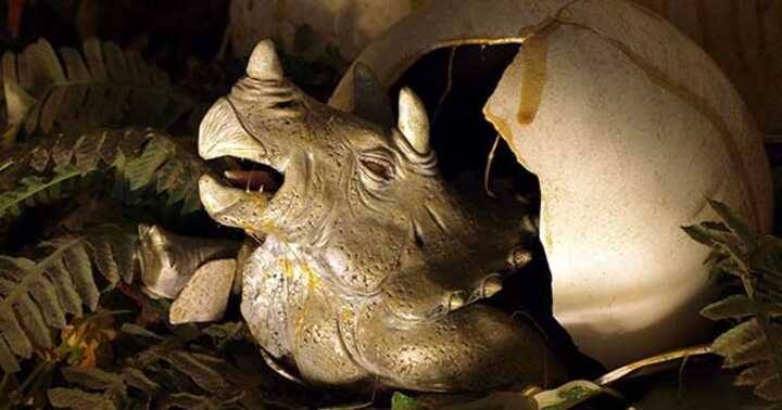 Dinosaurland Fossil Museum | Alexandra Hotel