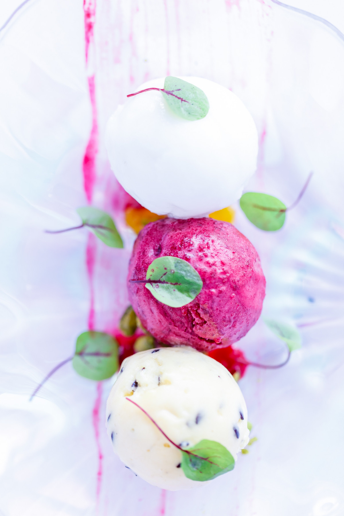 Gallery | Alexandra Hotel